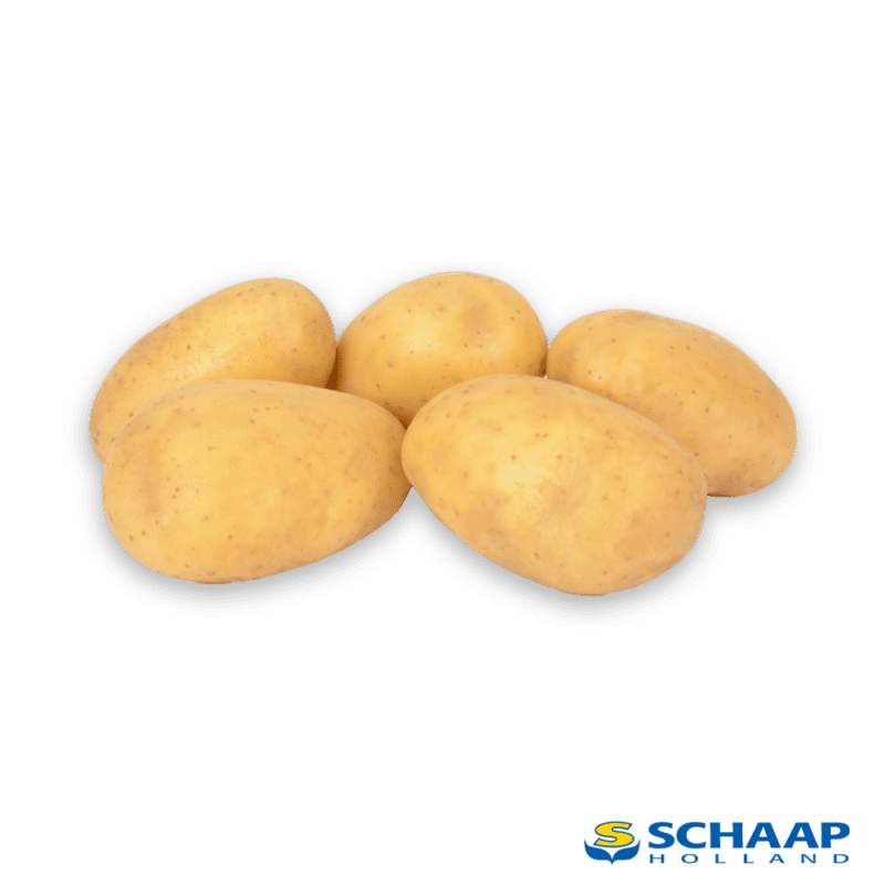 Aromata – Schaap Holland BV